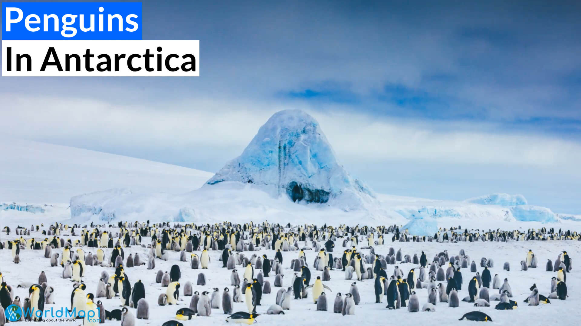 Antarctica and The Poles Maps, Satellite Views from Space 2