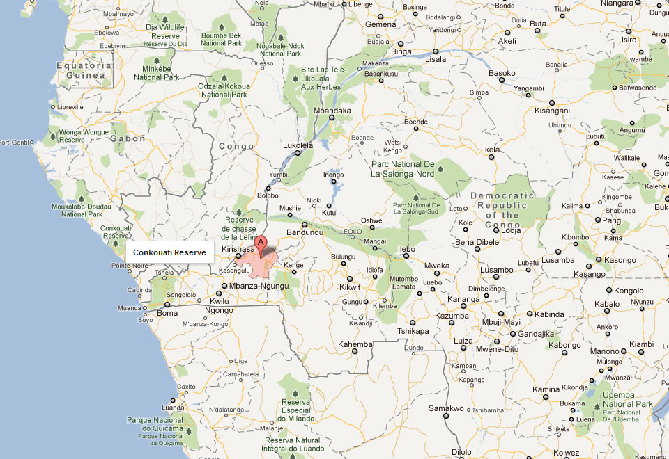 Kinshasa Map - Democratic Republic Congo