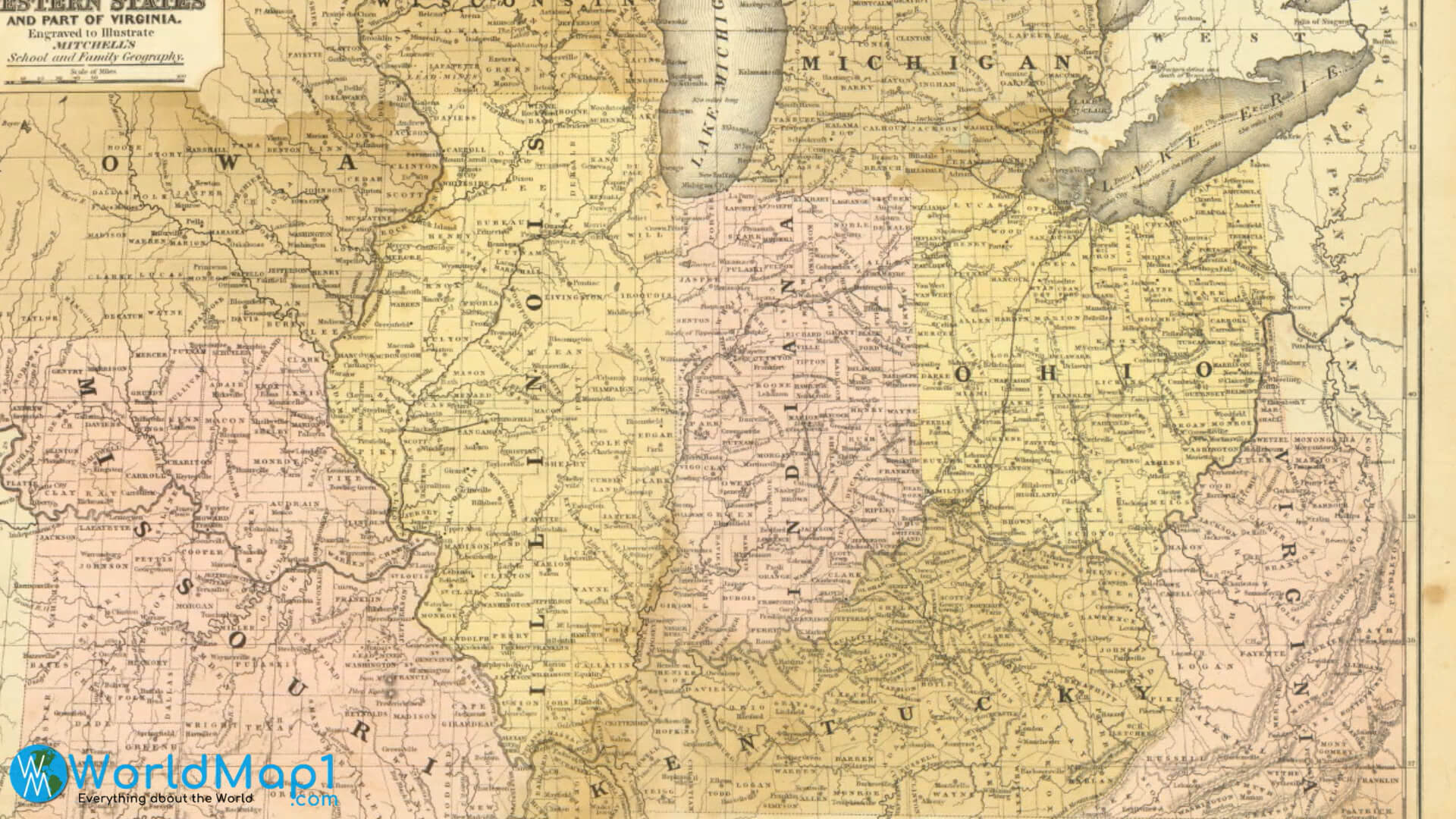 High Detailed Illinois Map