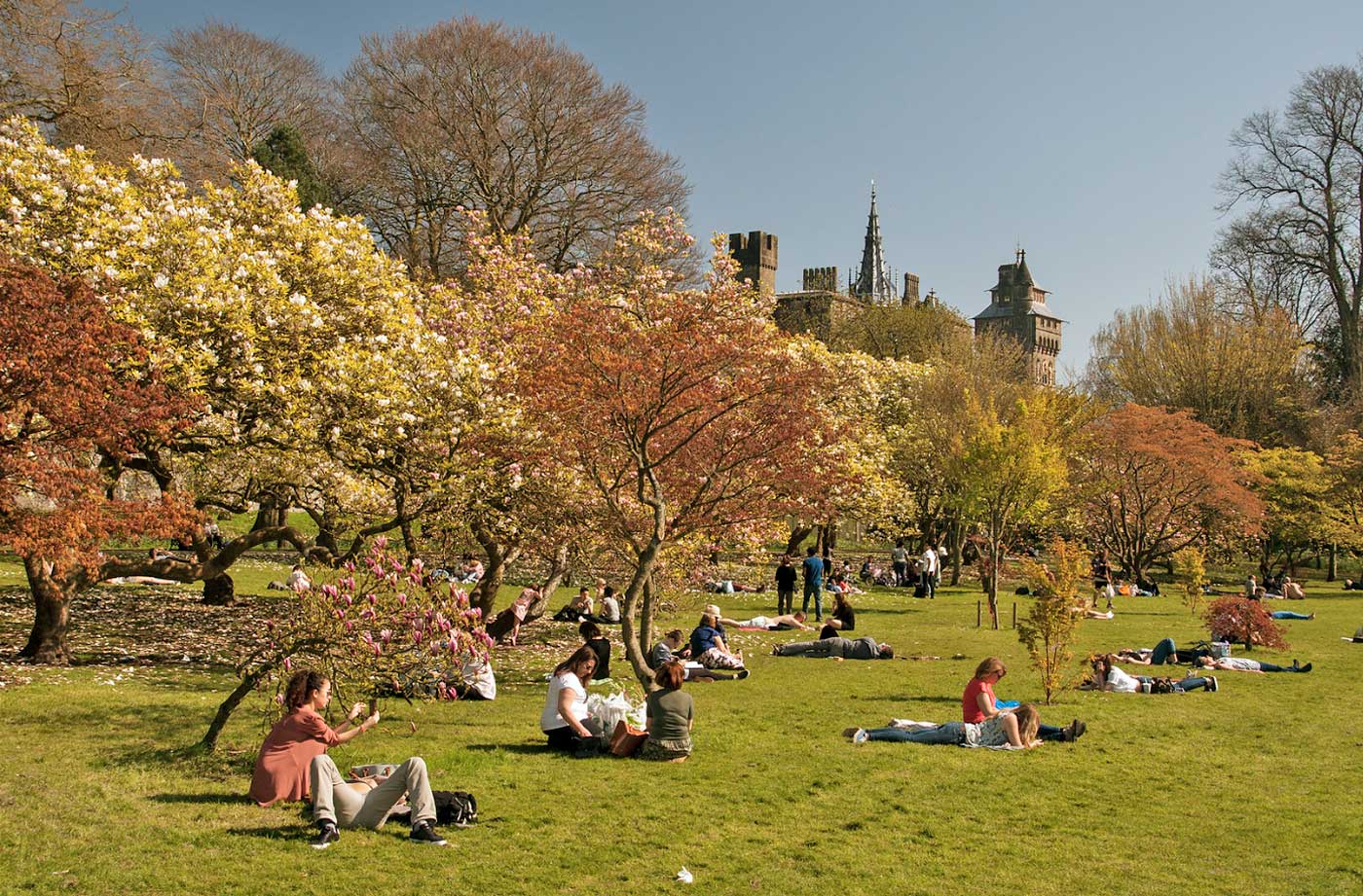 Cardiff Ultimate Travel Guide